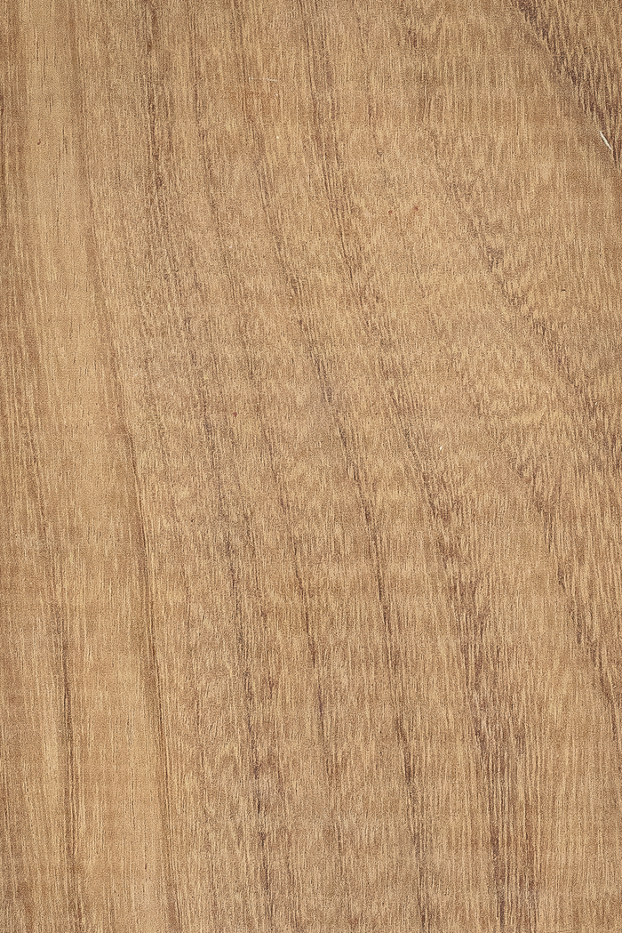 Afromosia (African Teak) lumber | The Wood Yard