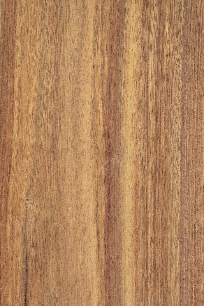 Caribbean Rosewood | The Wood Yard